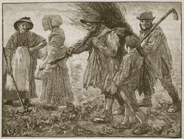 Agricultual-labourers-at-the-time-of-the-First-Reform-of-Parliament ...